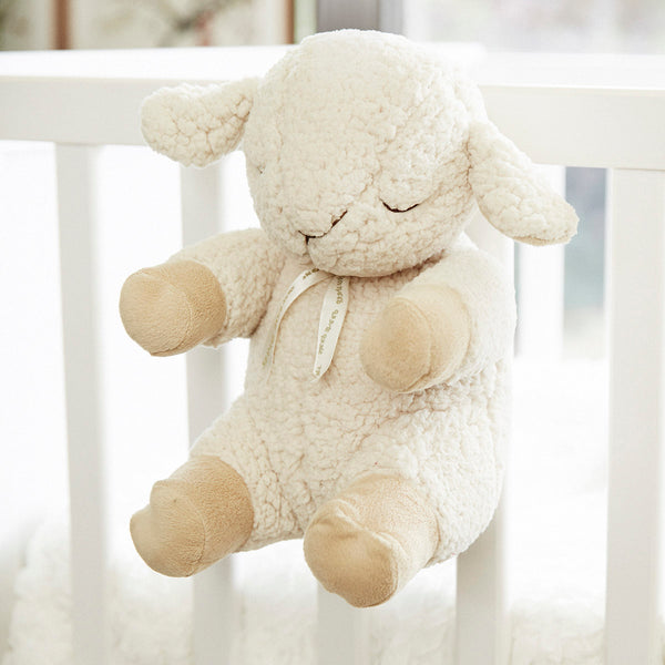 Cloud B - Sleep Sheep - Baby Factory Shop